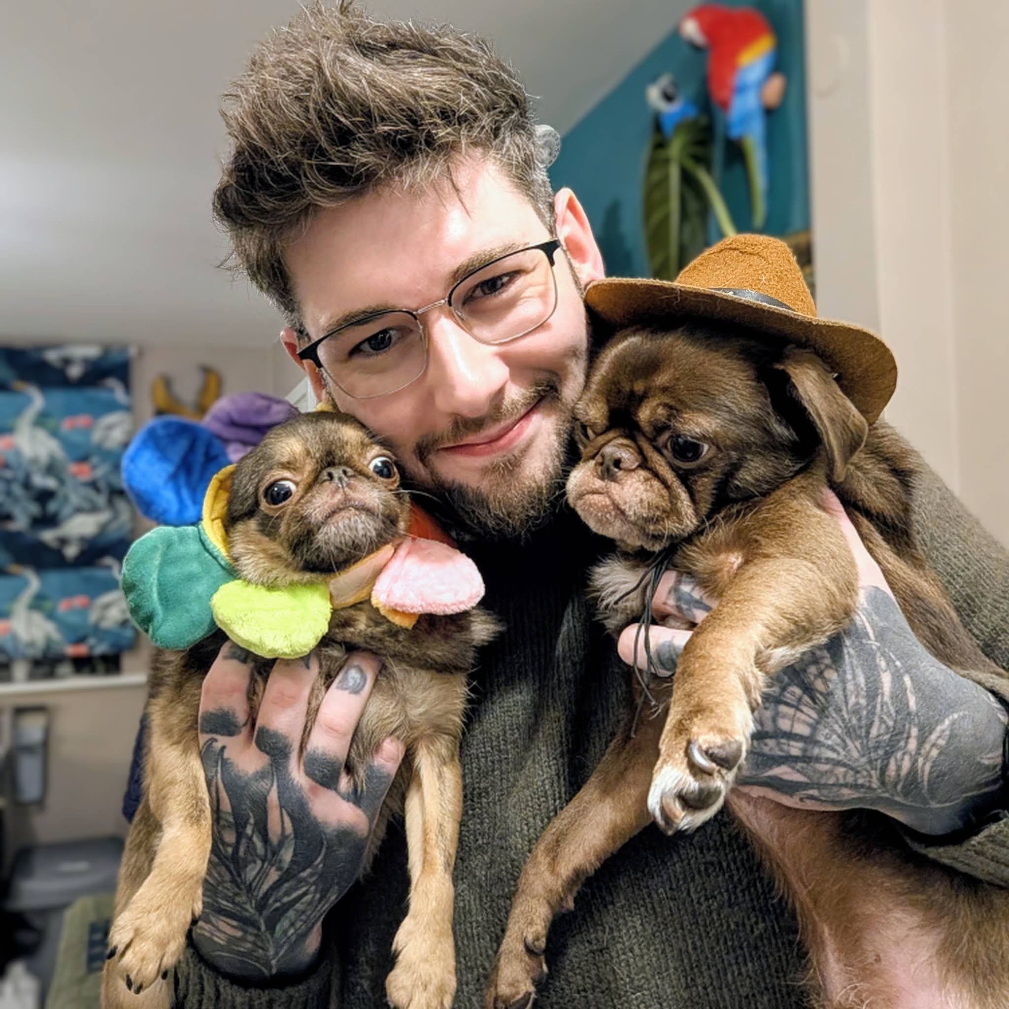 Post from King Chilli The Pug