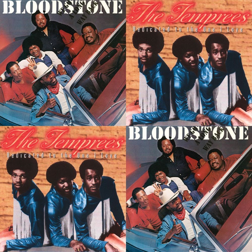 The Bloodstones Greatest hits