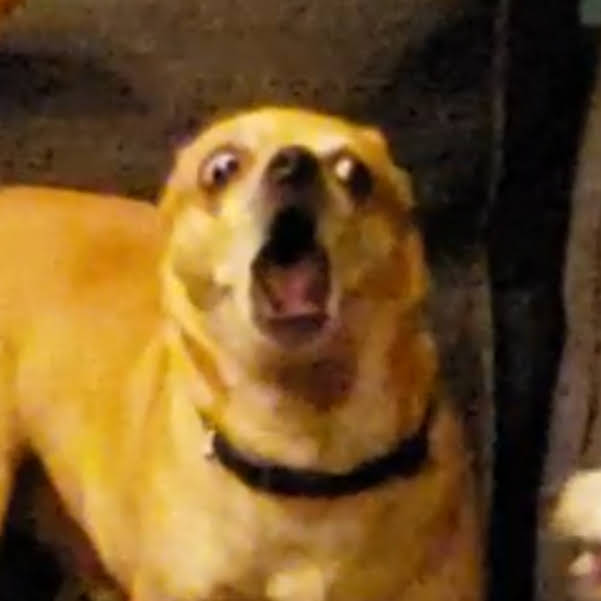 Post from Bobby Duke Arts