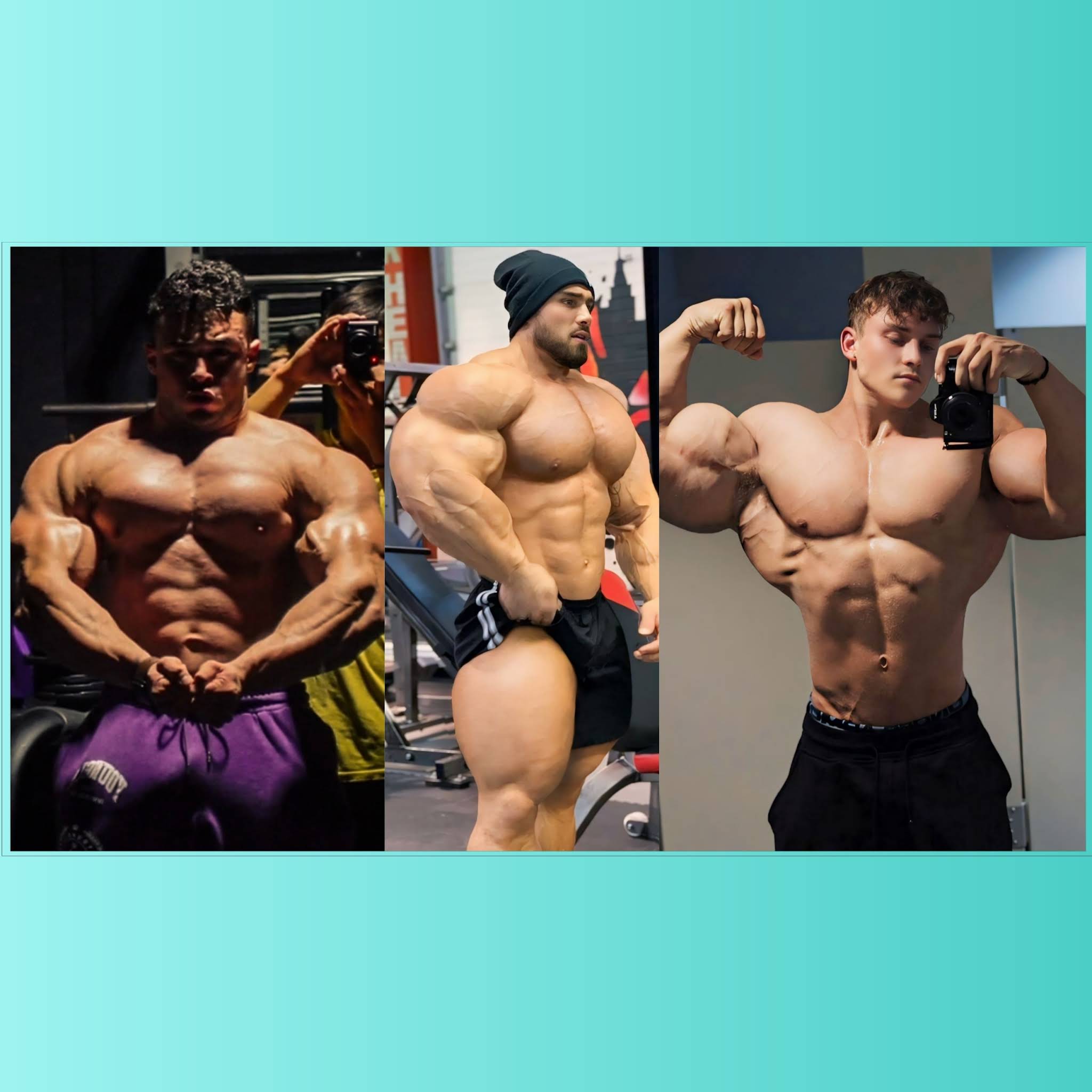 Post from VIVA MUSCLE