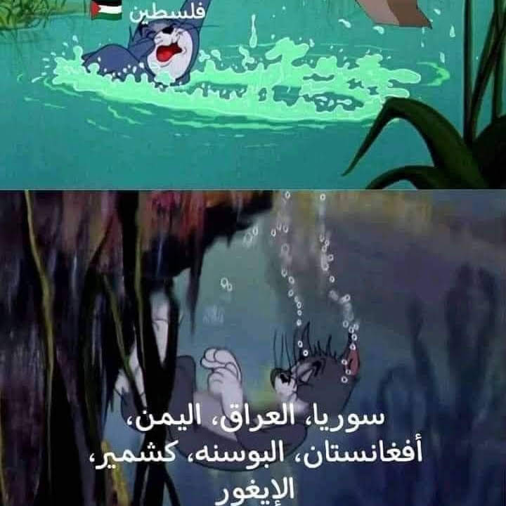 Post from Animator girl with Shahad