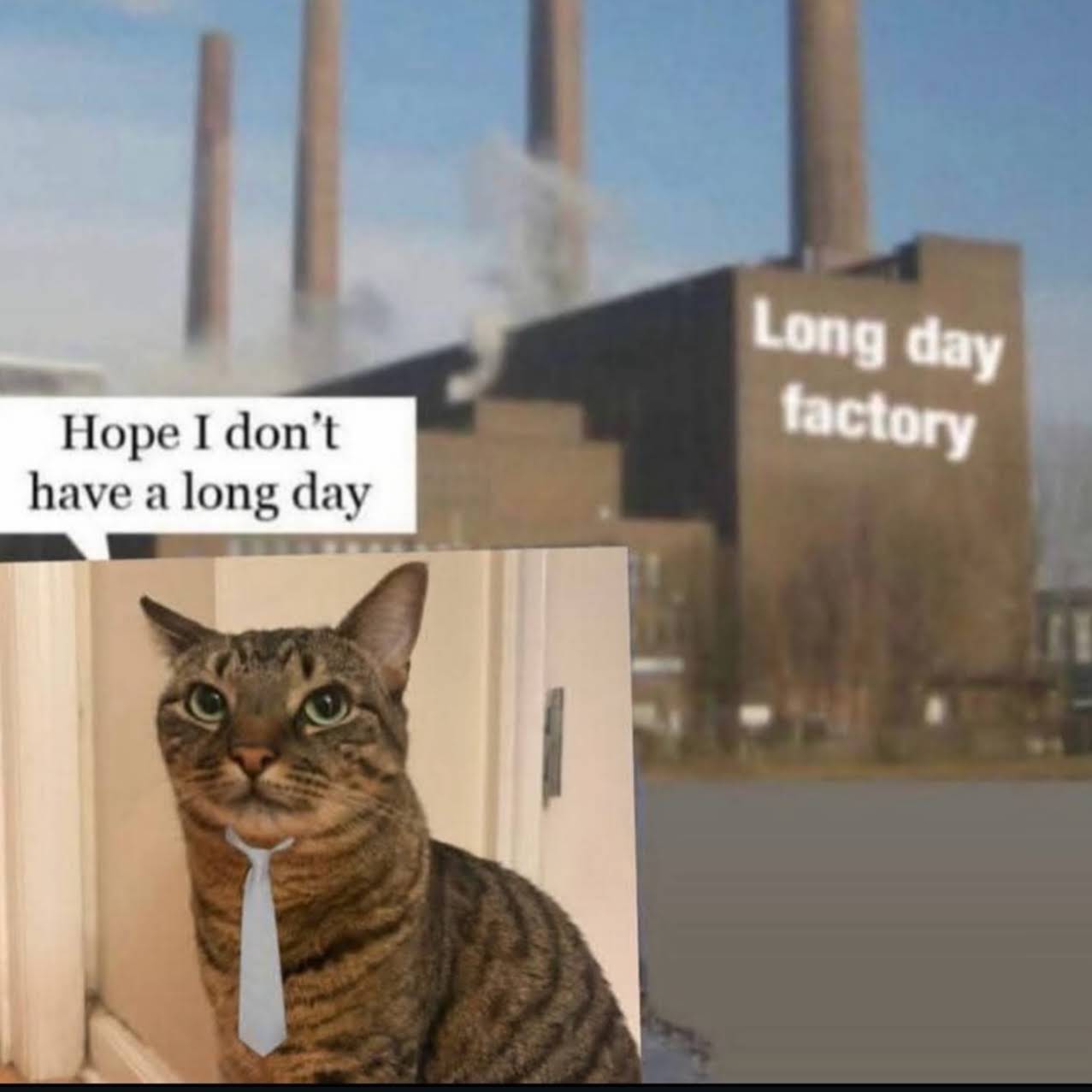 Post from Lessons in Meme Culture