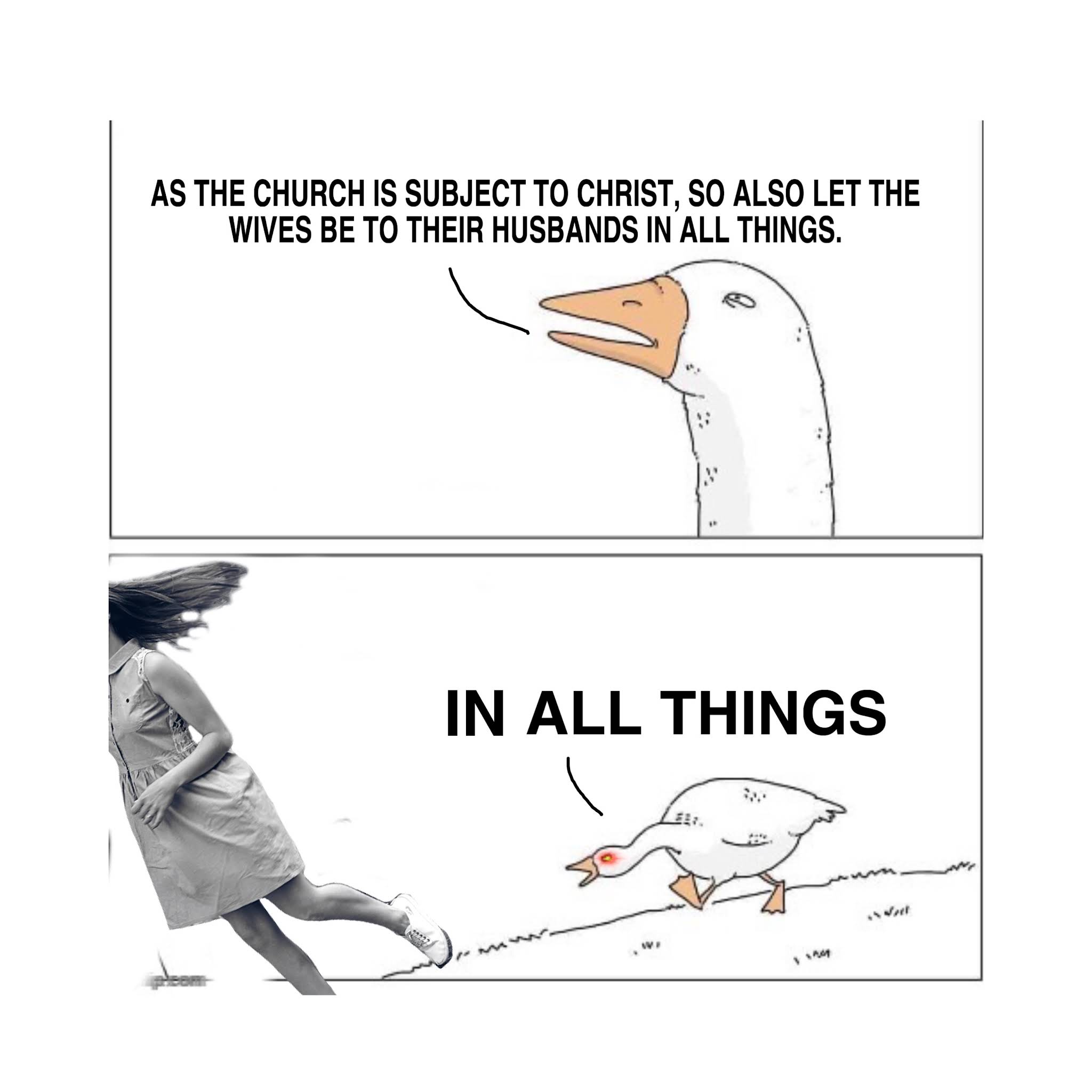 Post from Timothy Gordon