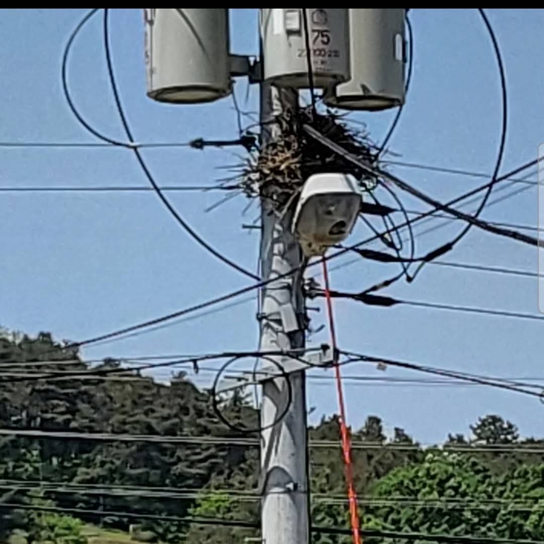 Post from TenGap Bro 텐갭브로