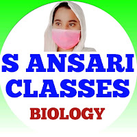 Poll from S Ansari Classes