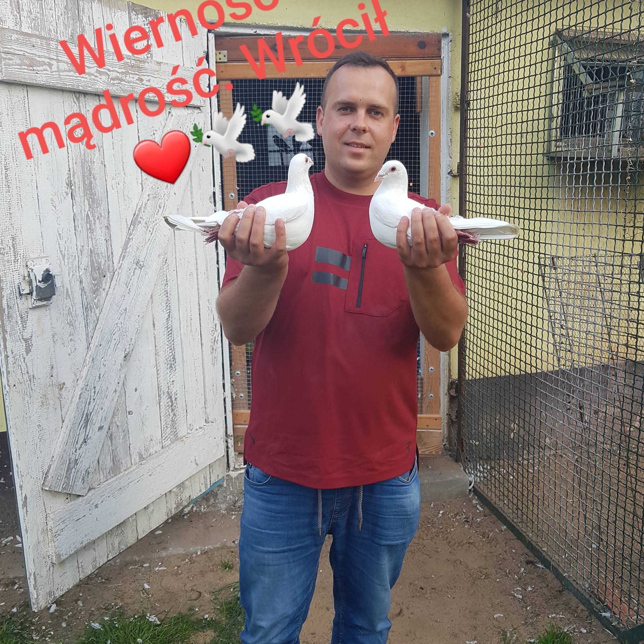 Post from TOMILI FR87