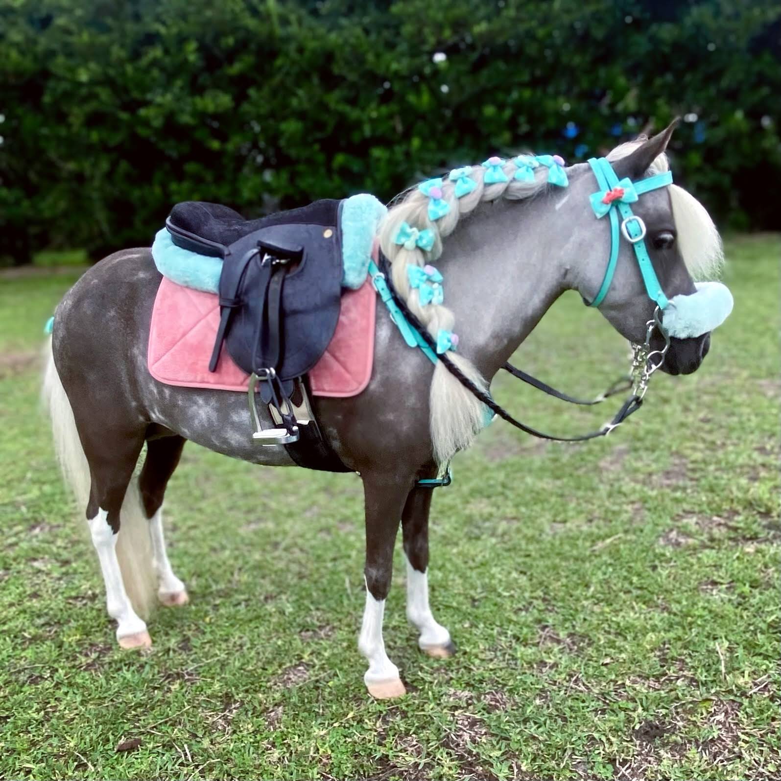 Post from Roany Pony Farm