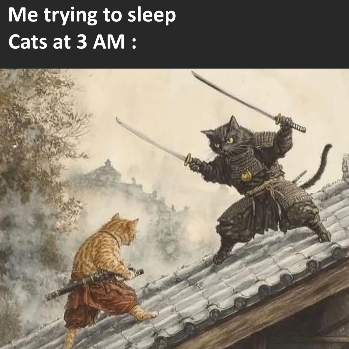 Post from Dark Theme Meme