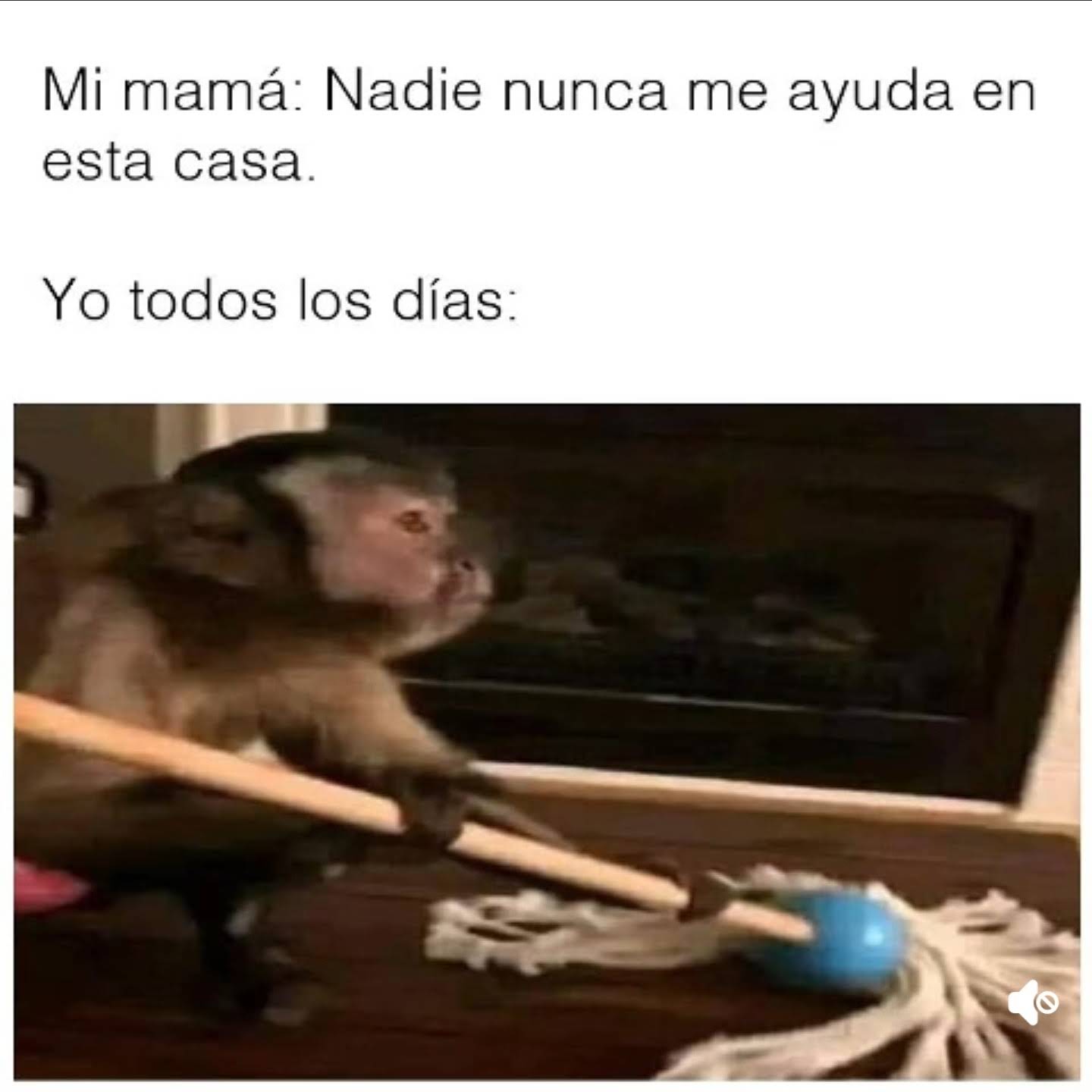 Post from SnowFlake Freak