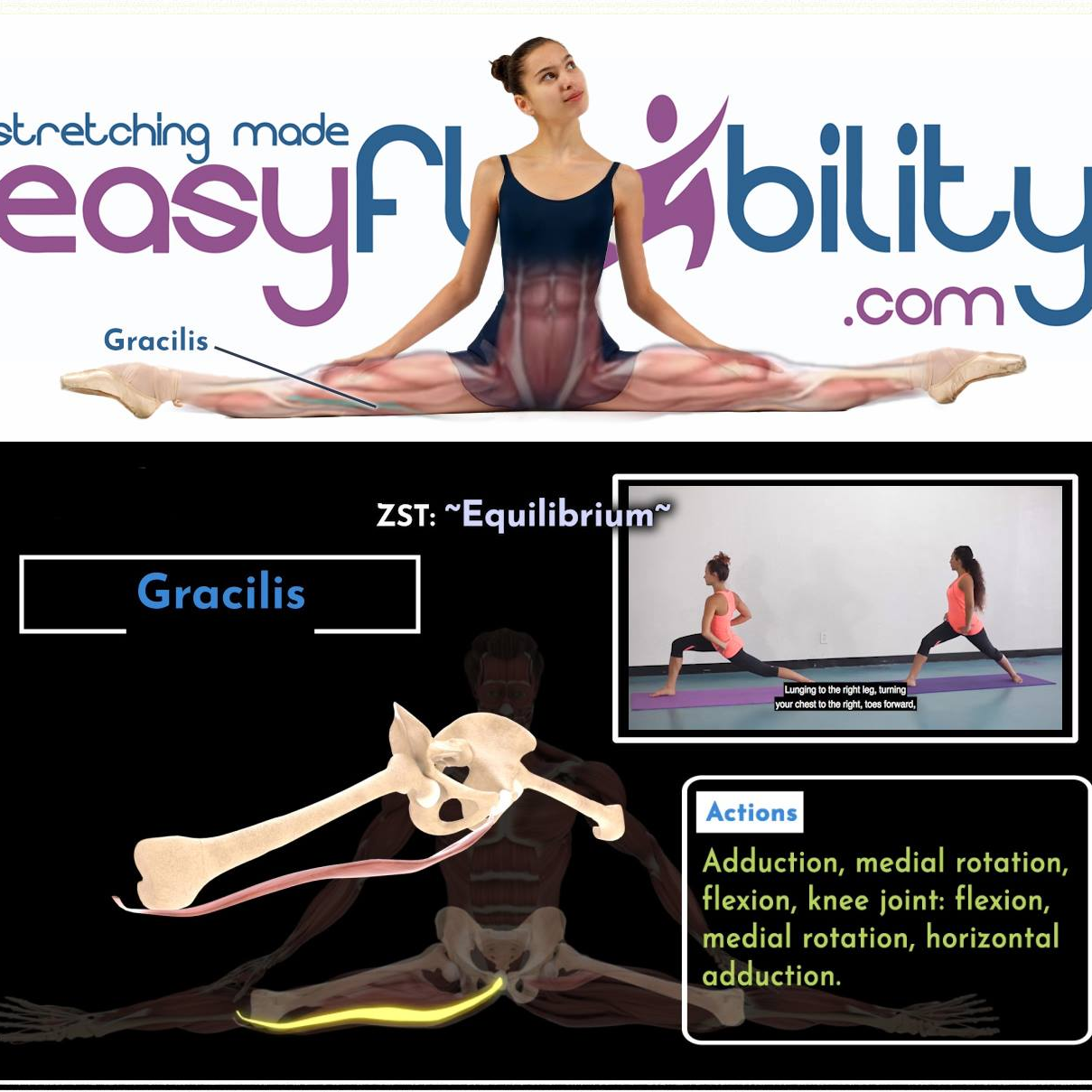 Post from Elasticsteel