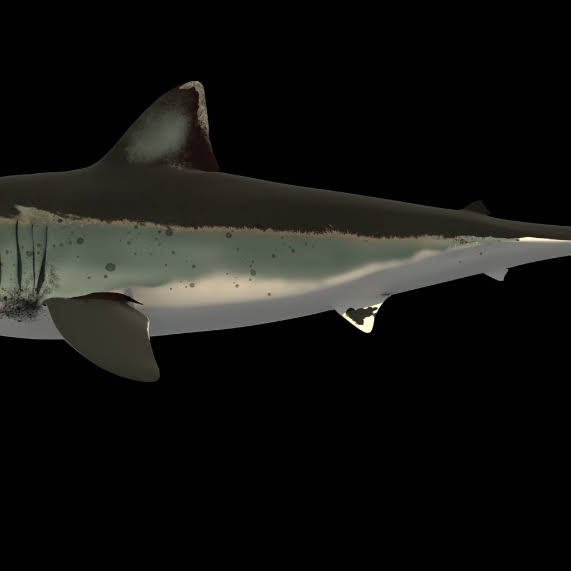 Post from Dizzy Rose