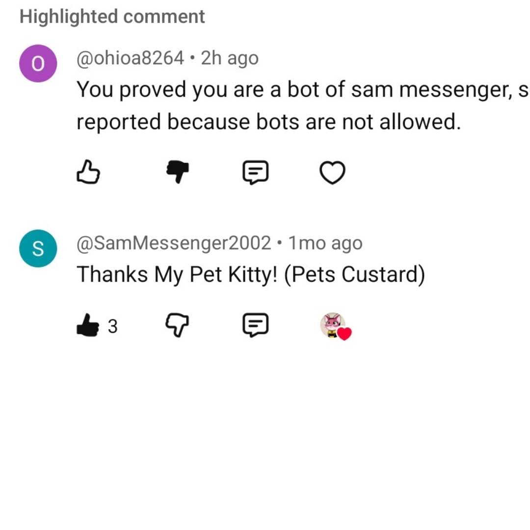 Post from Custard the Cat 🍓🐱