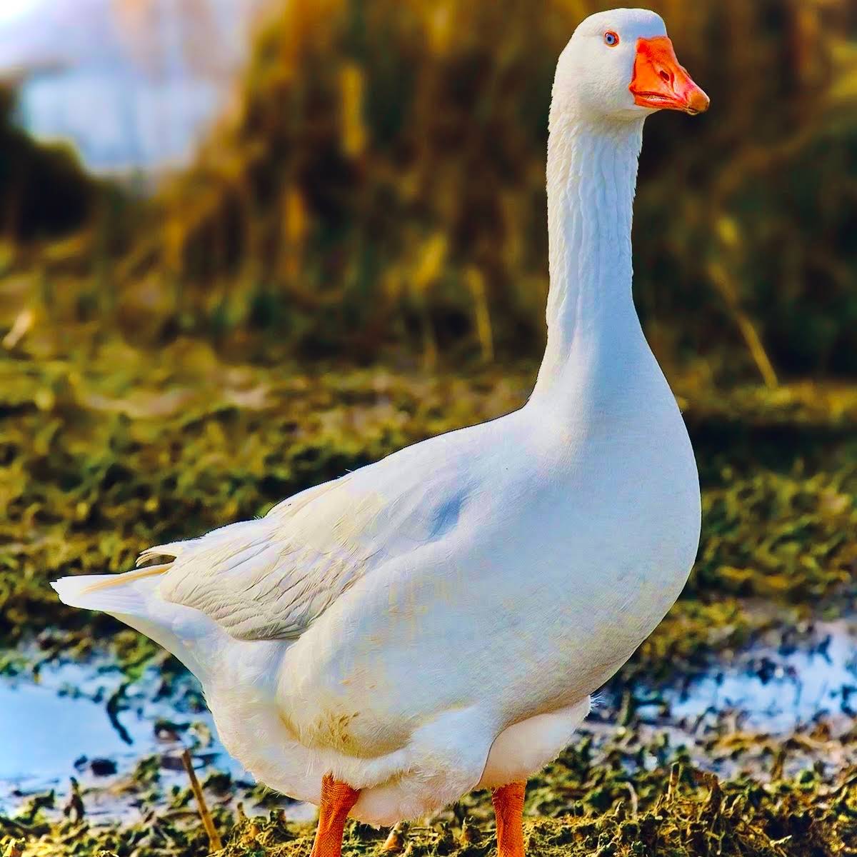 Post from Gabriel Harris