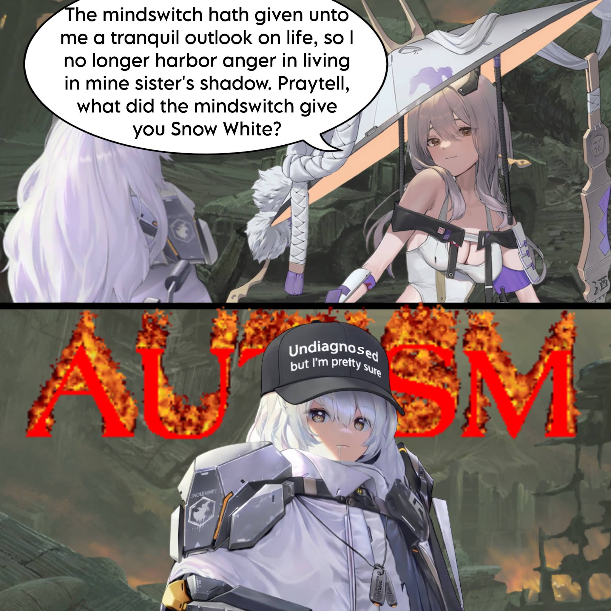 Post from Commander's Meme Database