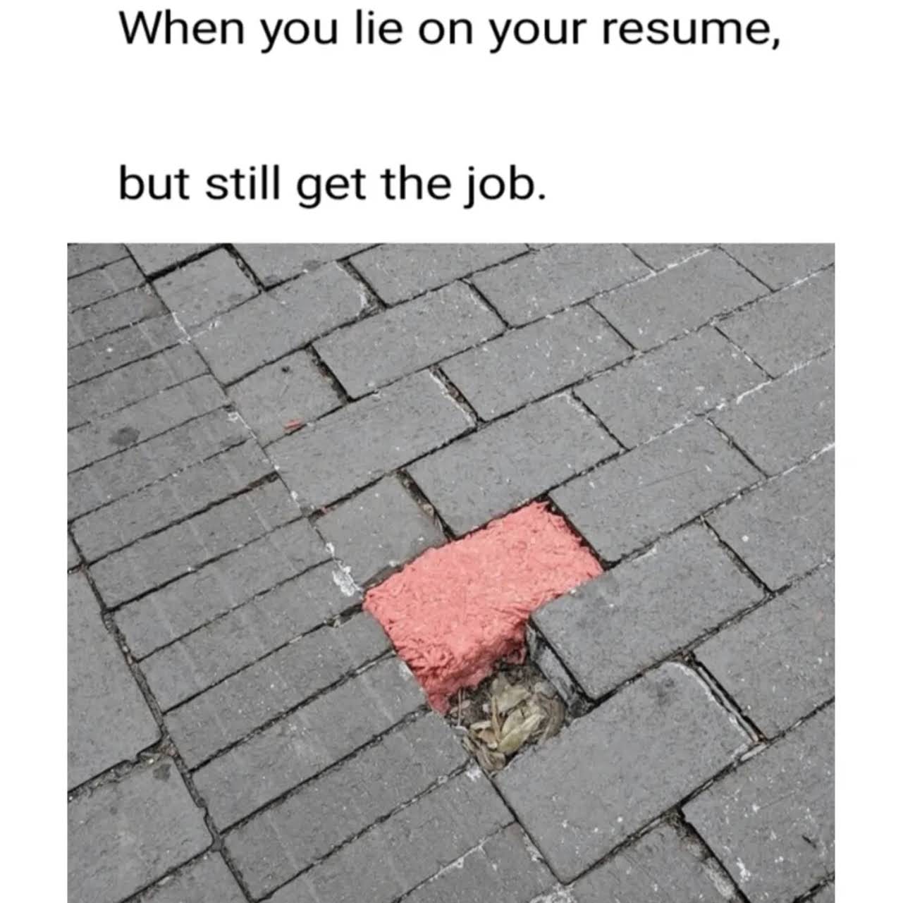 Post from Connor Pugs