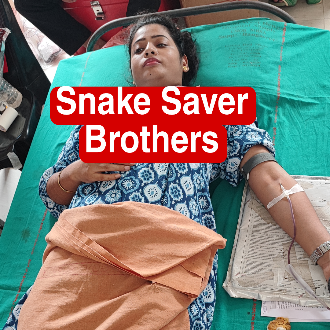 Post from Snake Saver Brothers