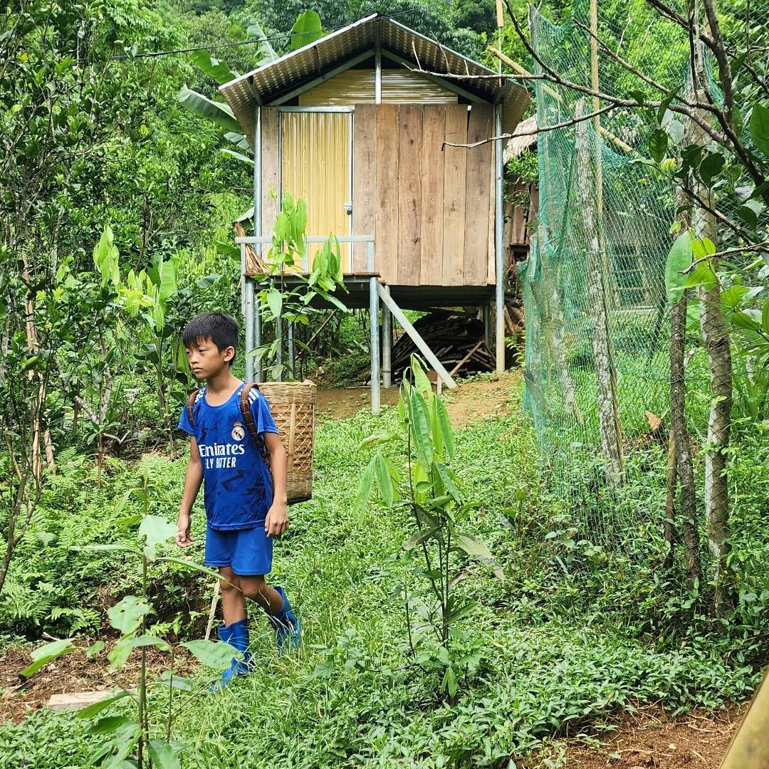 Post from Bac_wandering boy