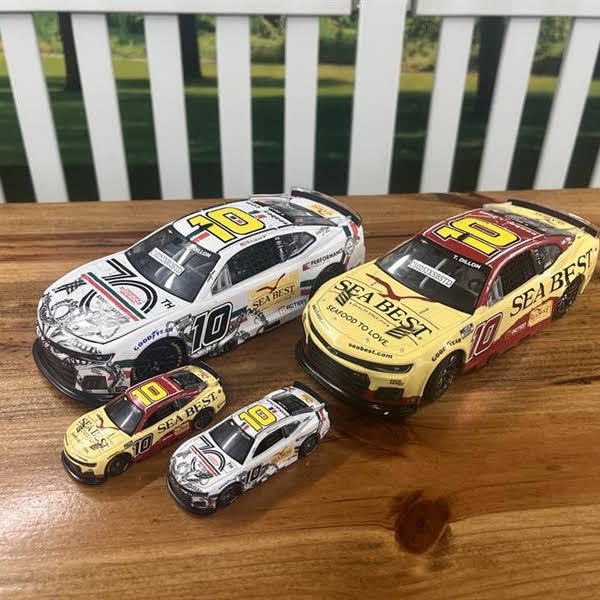 Post from NASCAR DUDE