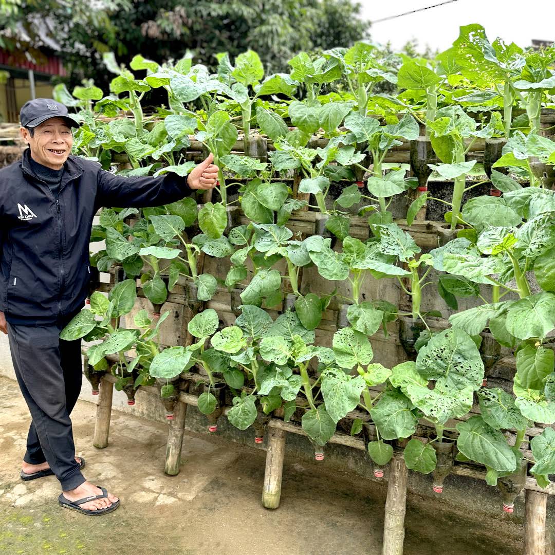 Post from TEO Garden