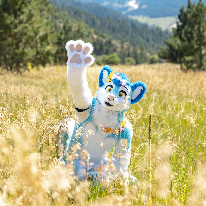 Post from Fluke Husky