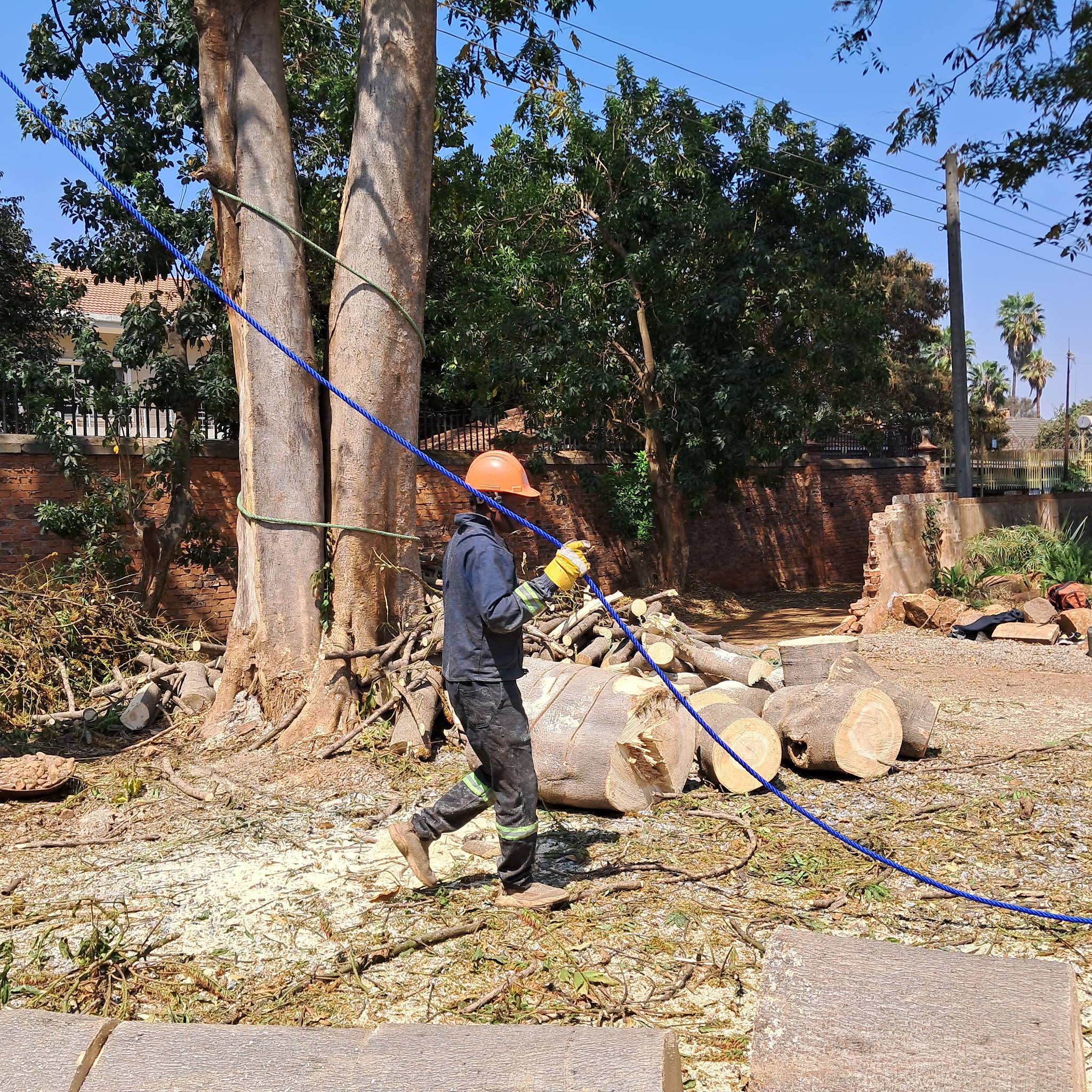 Post from Tree Cutting Services Zimbabwe