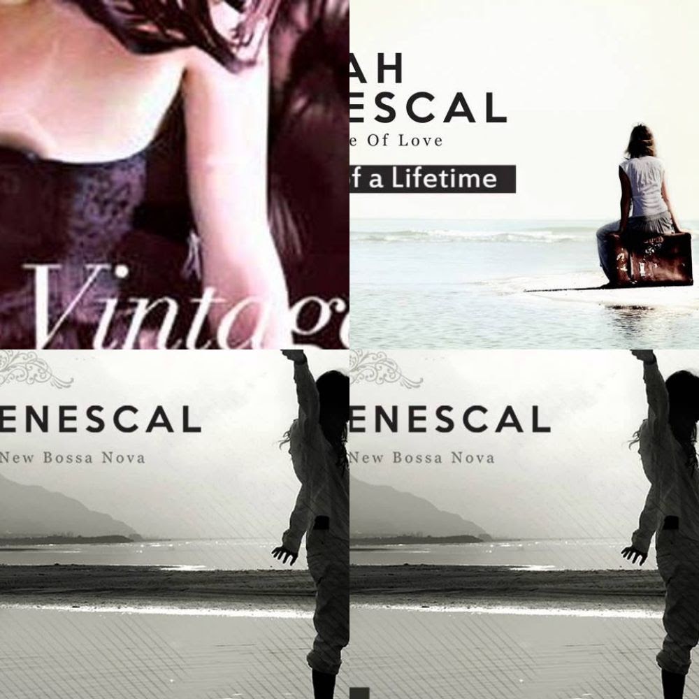 The Best of Sarah Menescal