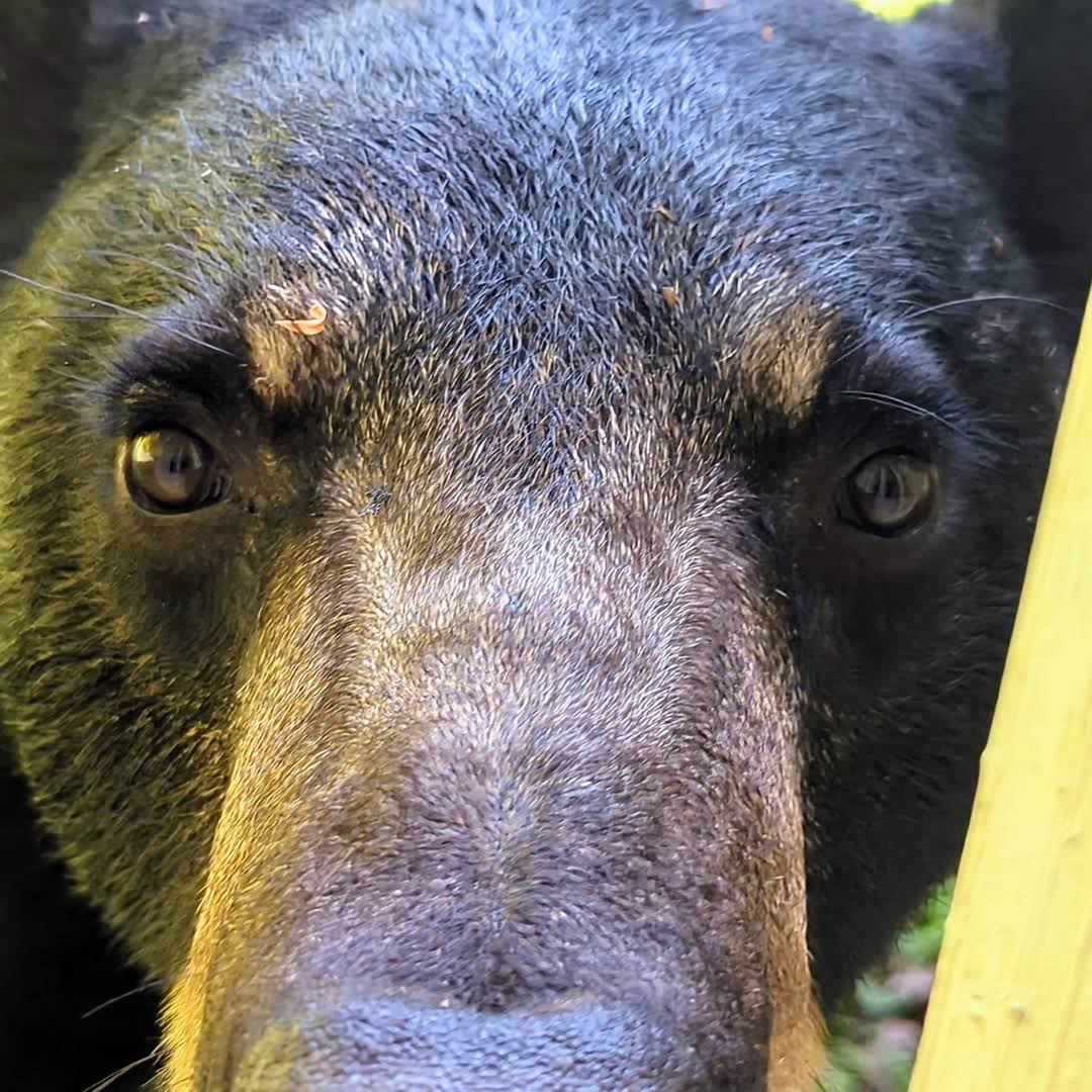 Post from Patrick Conley