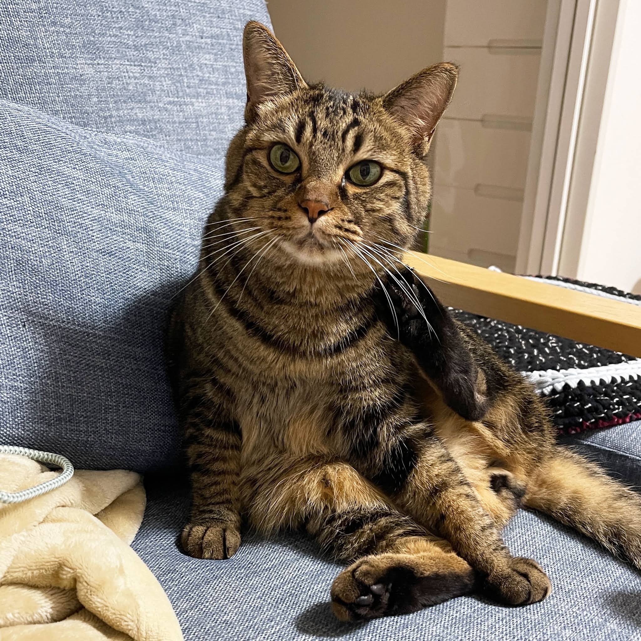 Post from Samoji & Hotane 's Daily Life