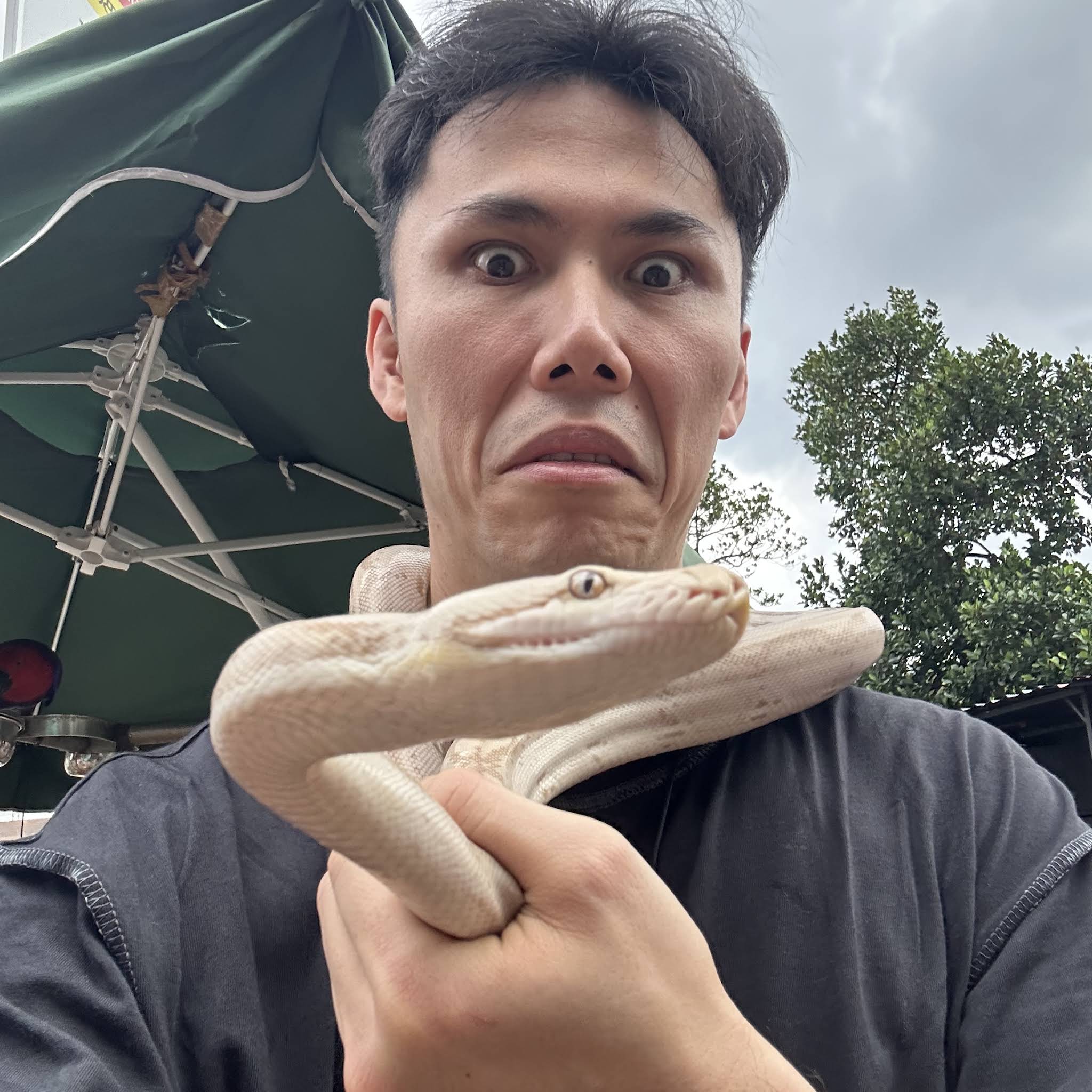 Post from Jeffrey Fok霍哥哥