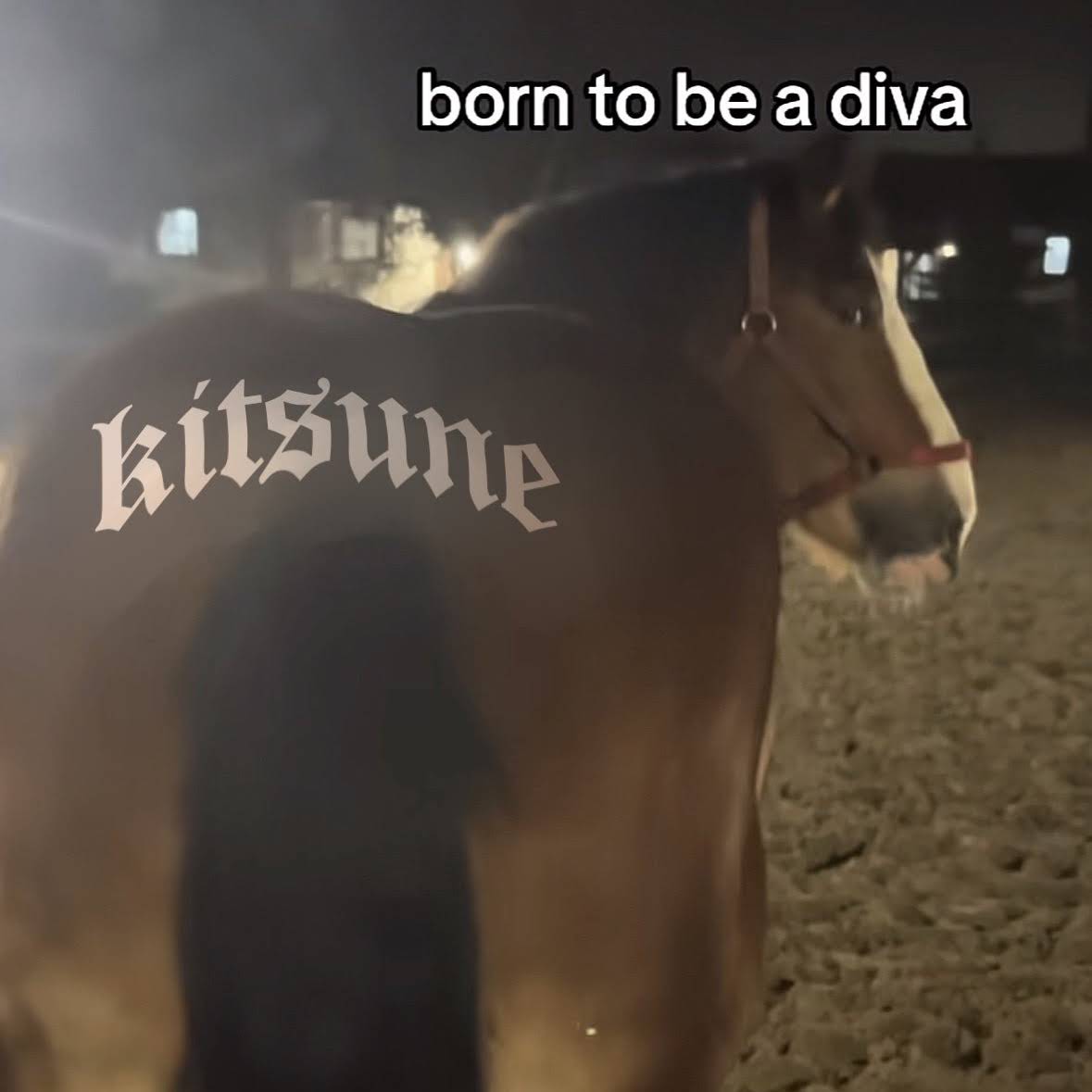 Post from Rima Evenstar
