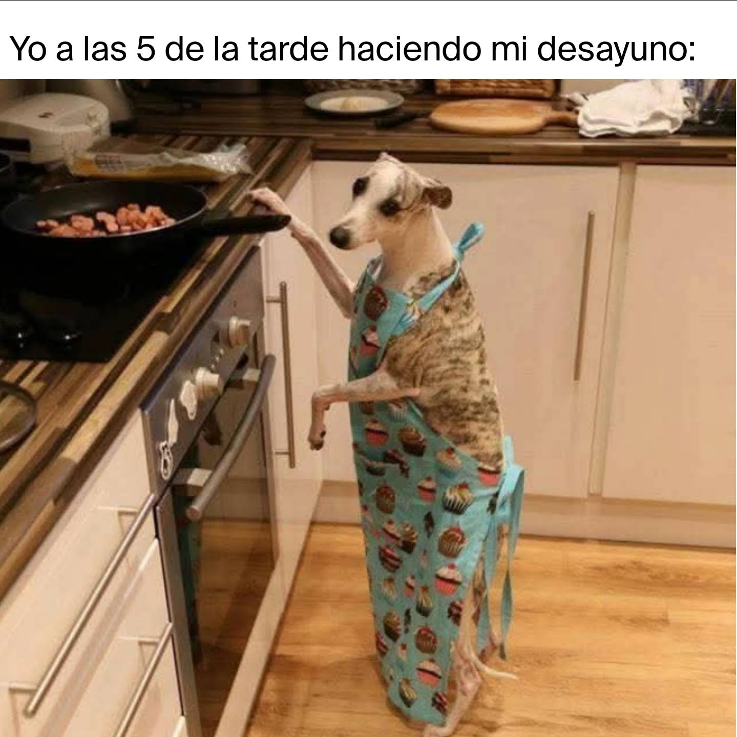 Post from SnowFlake Freak