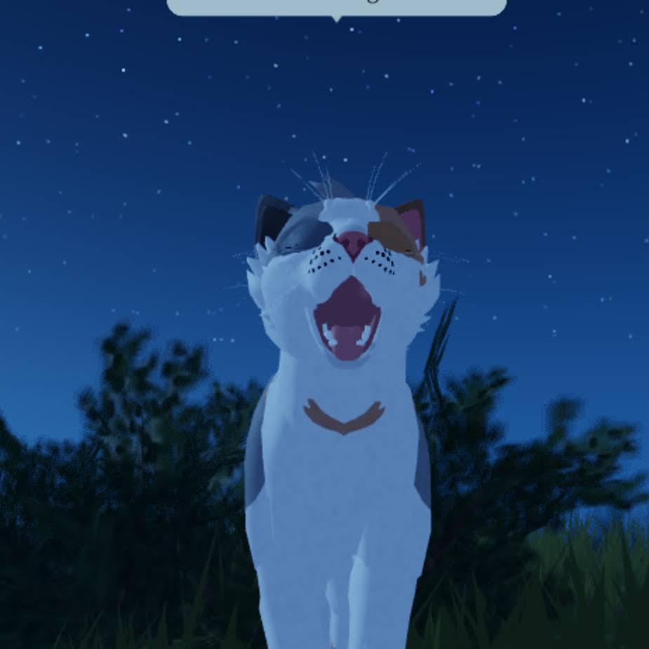 Post from Stormcrest