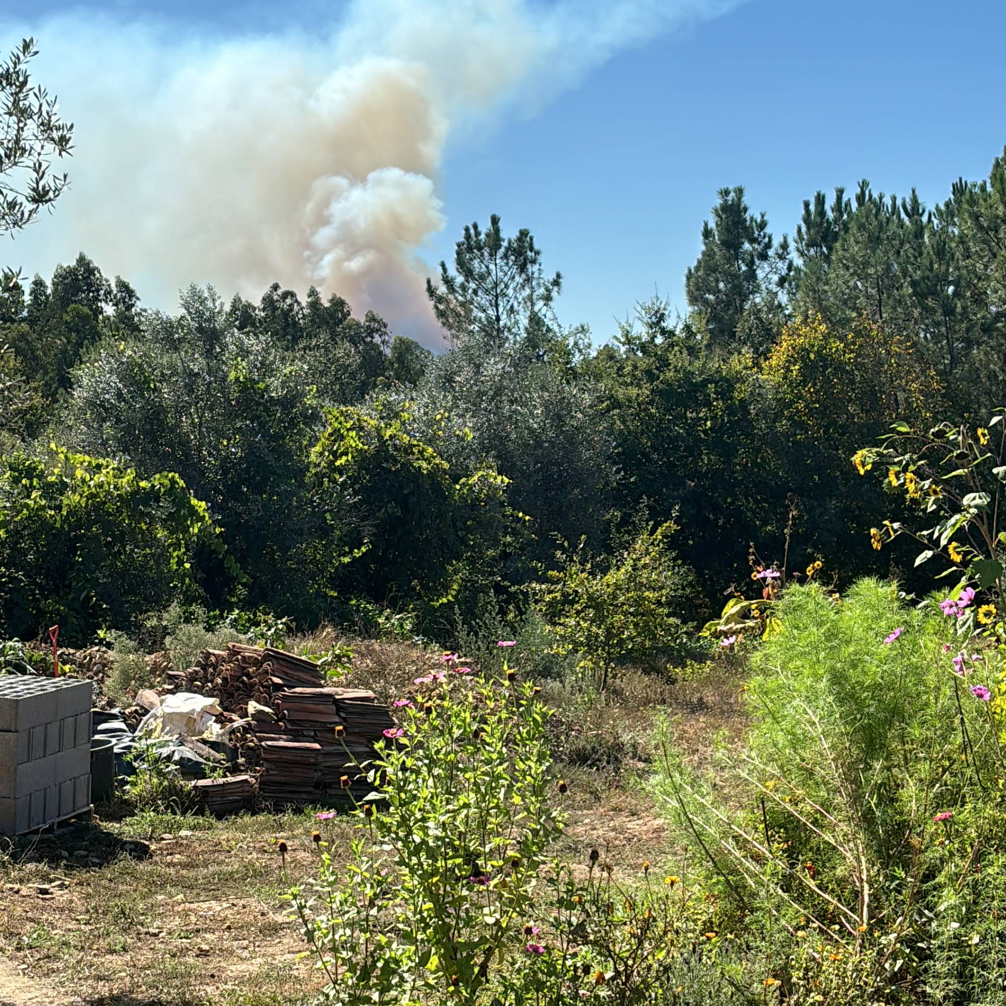 Post from The Indigo Escape