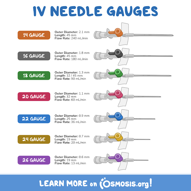 IV Gauge Sizing Chart Nursemear 57 OFF