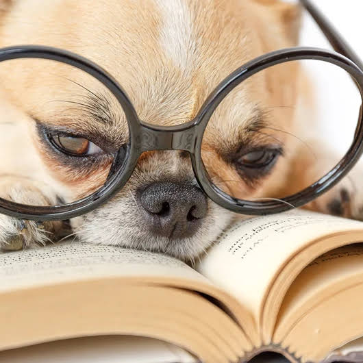 Post from Faceless Book Reviews