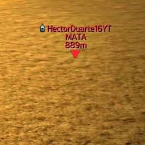 Post from Hector Duarte