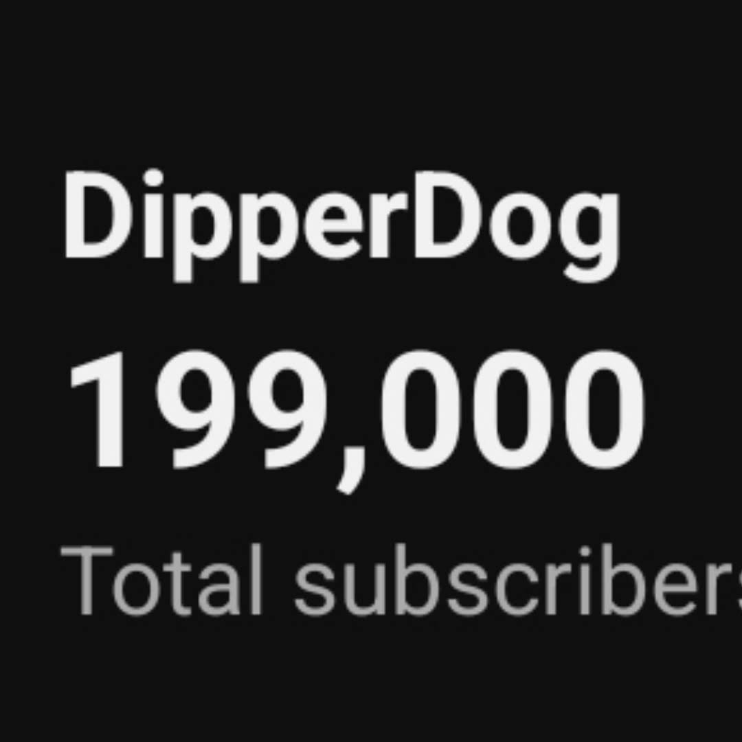 Post from DipperDog
