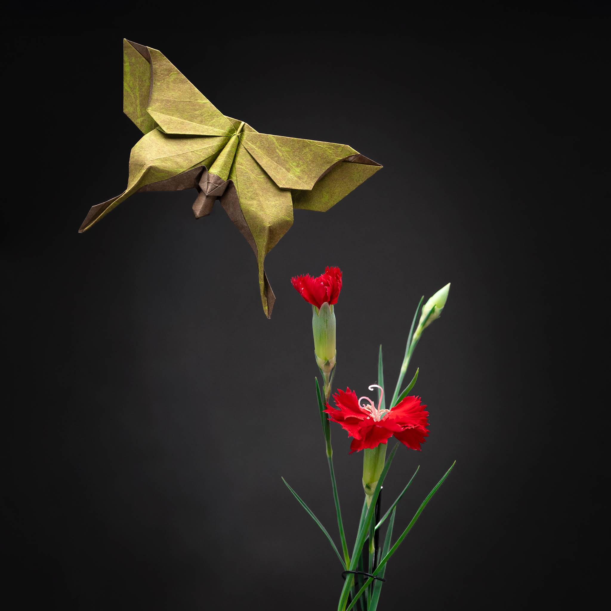 Post from Mariano Zavala Origami