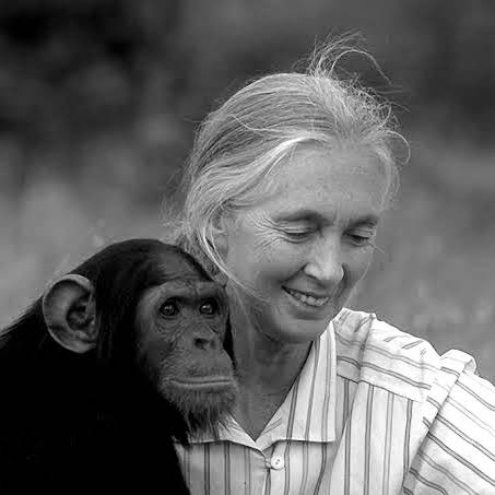 Post from Primate Economics