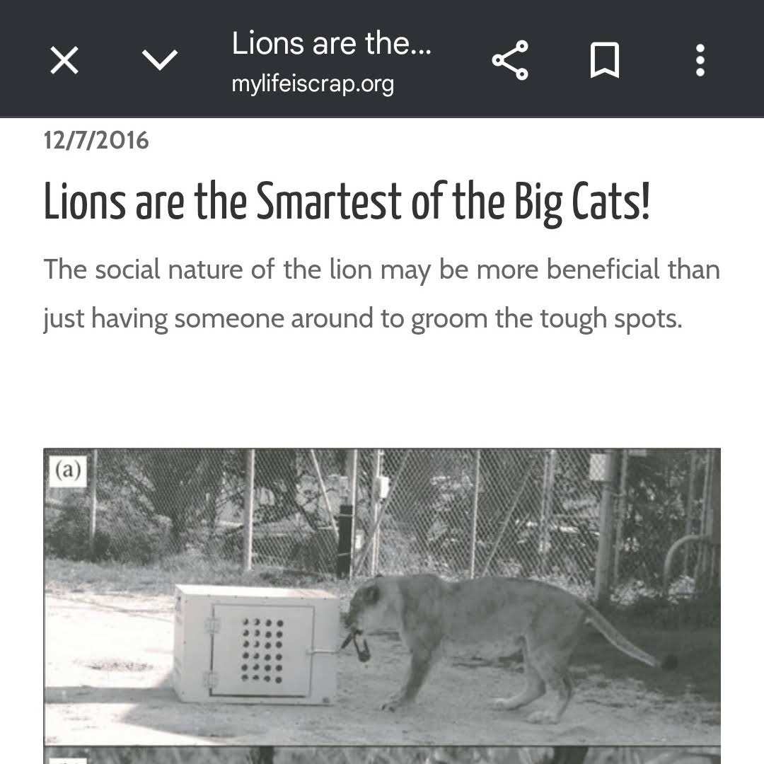 Post from Boris the cave lion