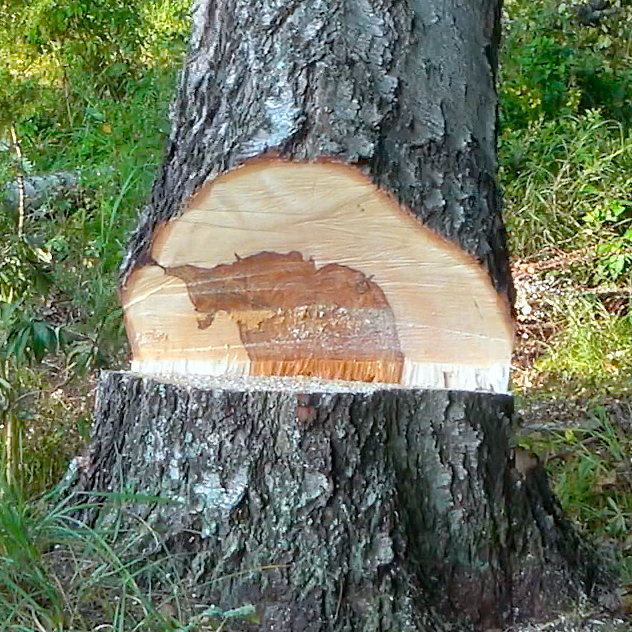 Post from Finnish Lumberjack
