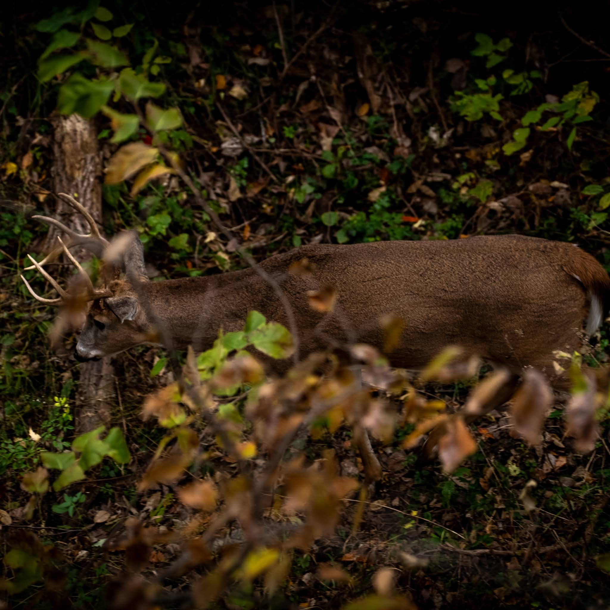 Post from Kaitlyn Maus Outdoors