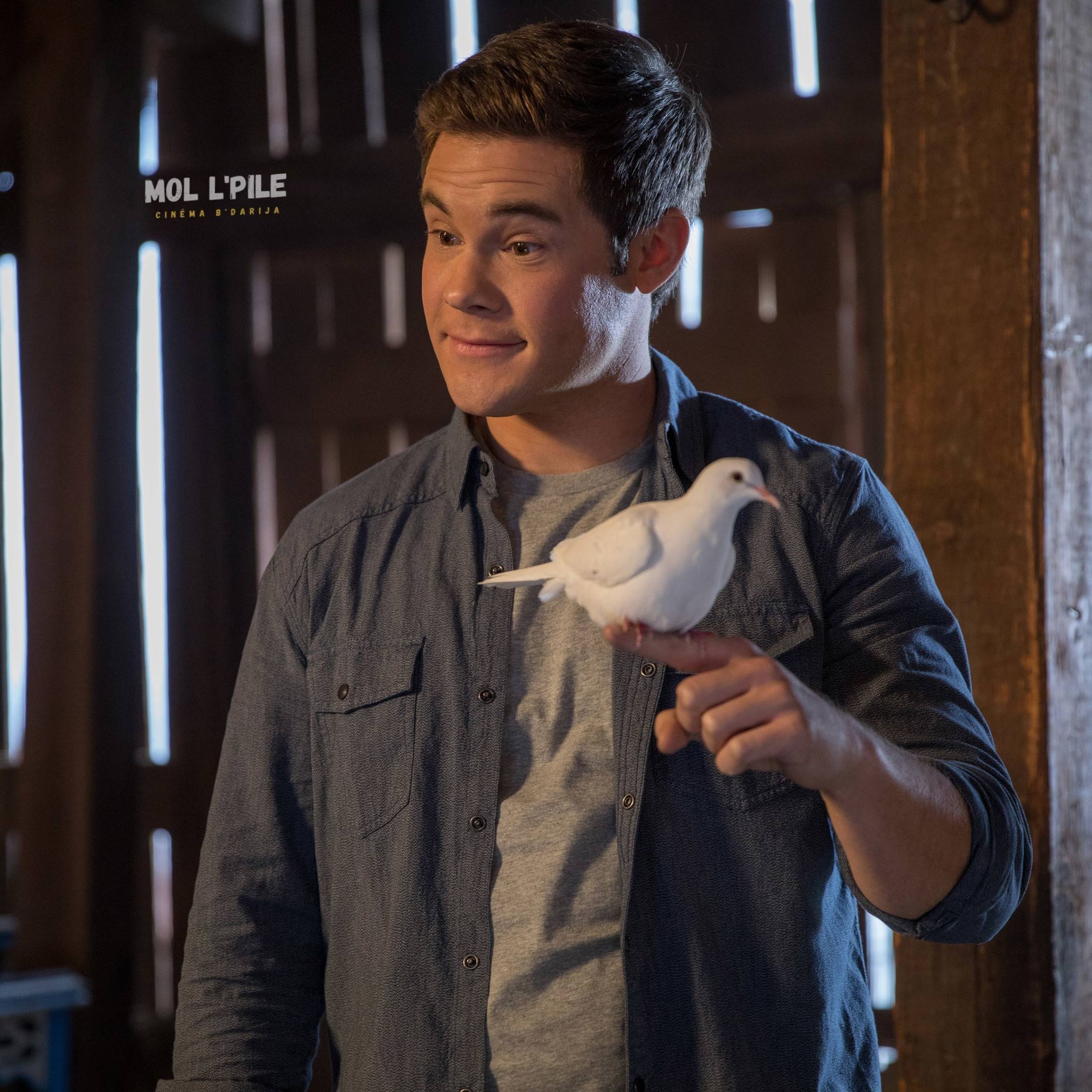 Post from مول البيل-Mol l'pile