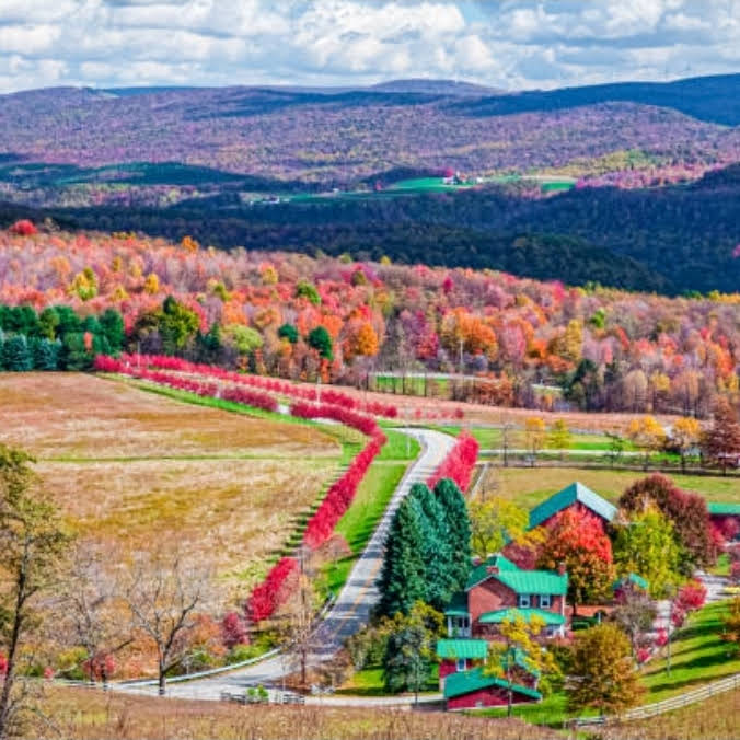 Post from Obdiel Te Invita