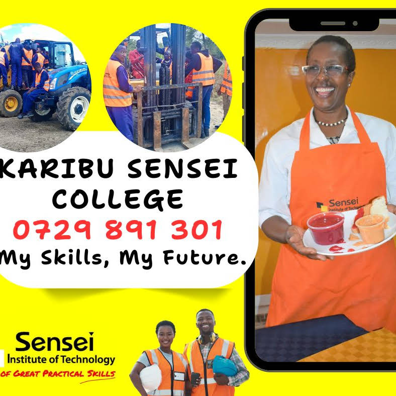 Post from Sensei Institute of Technology SIT