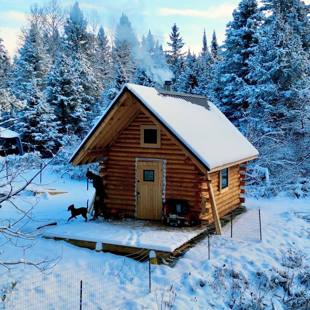 Post from WILD HOMESTEAD