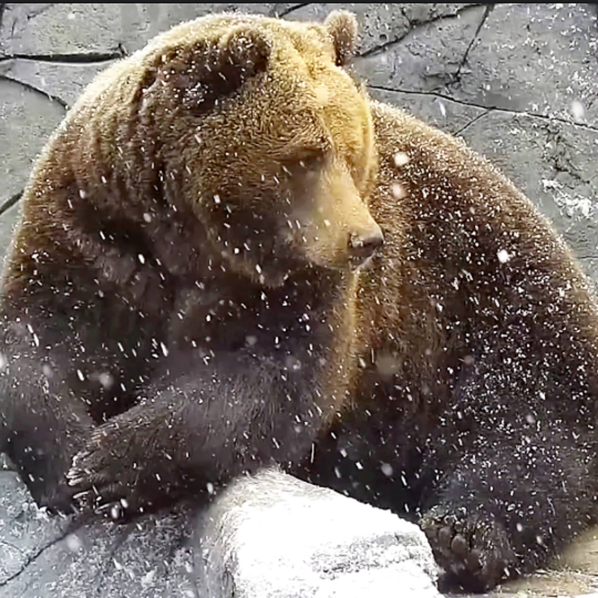 Post from Igor Alexeev