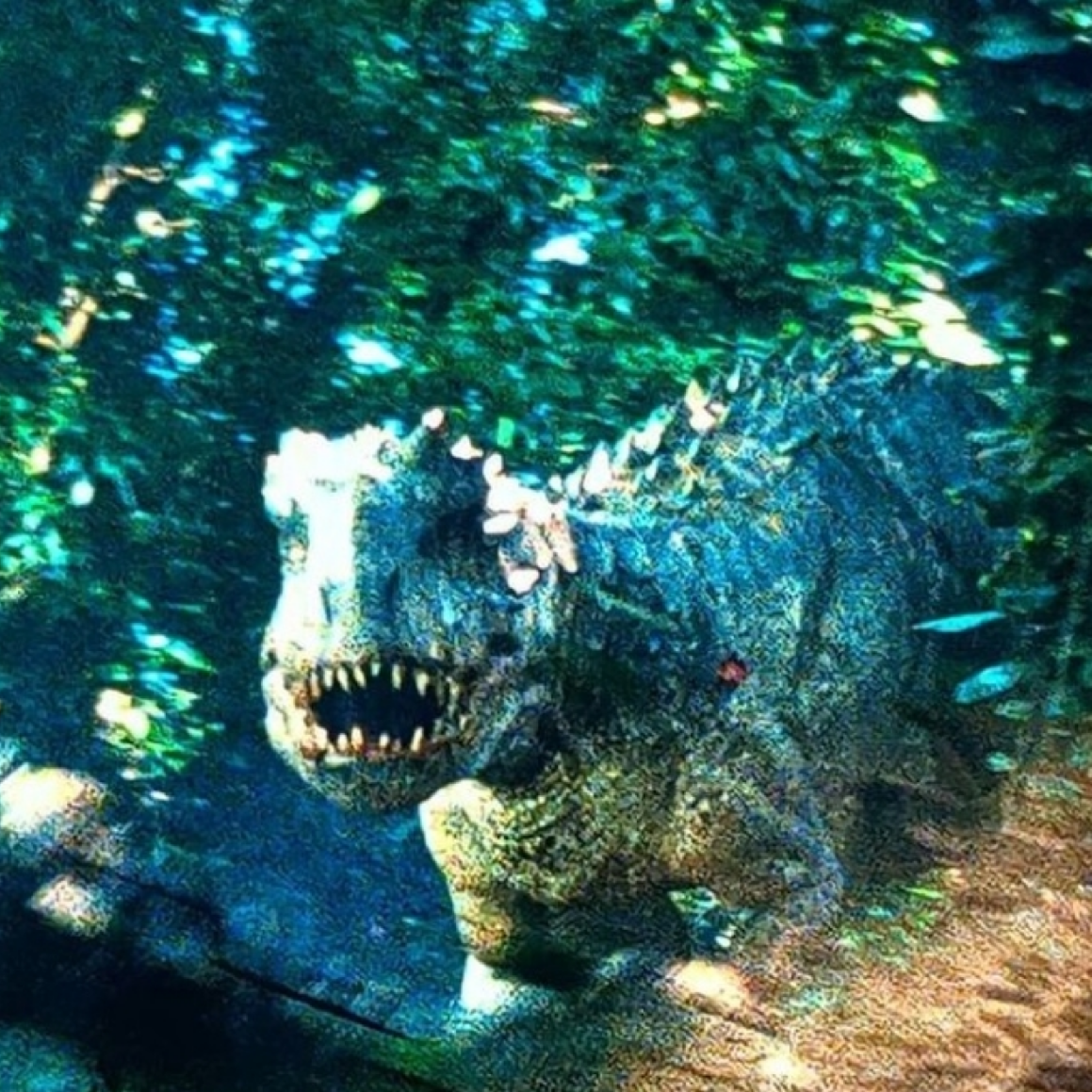 Post from Omni-Rex