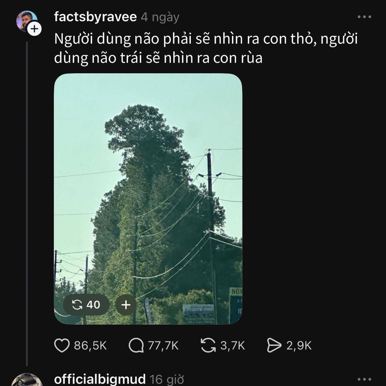 Post from Mê Tri Thức