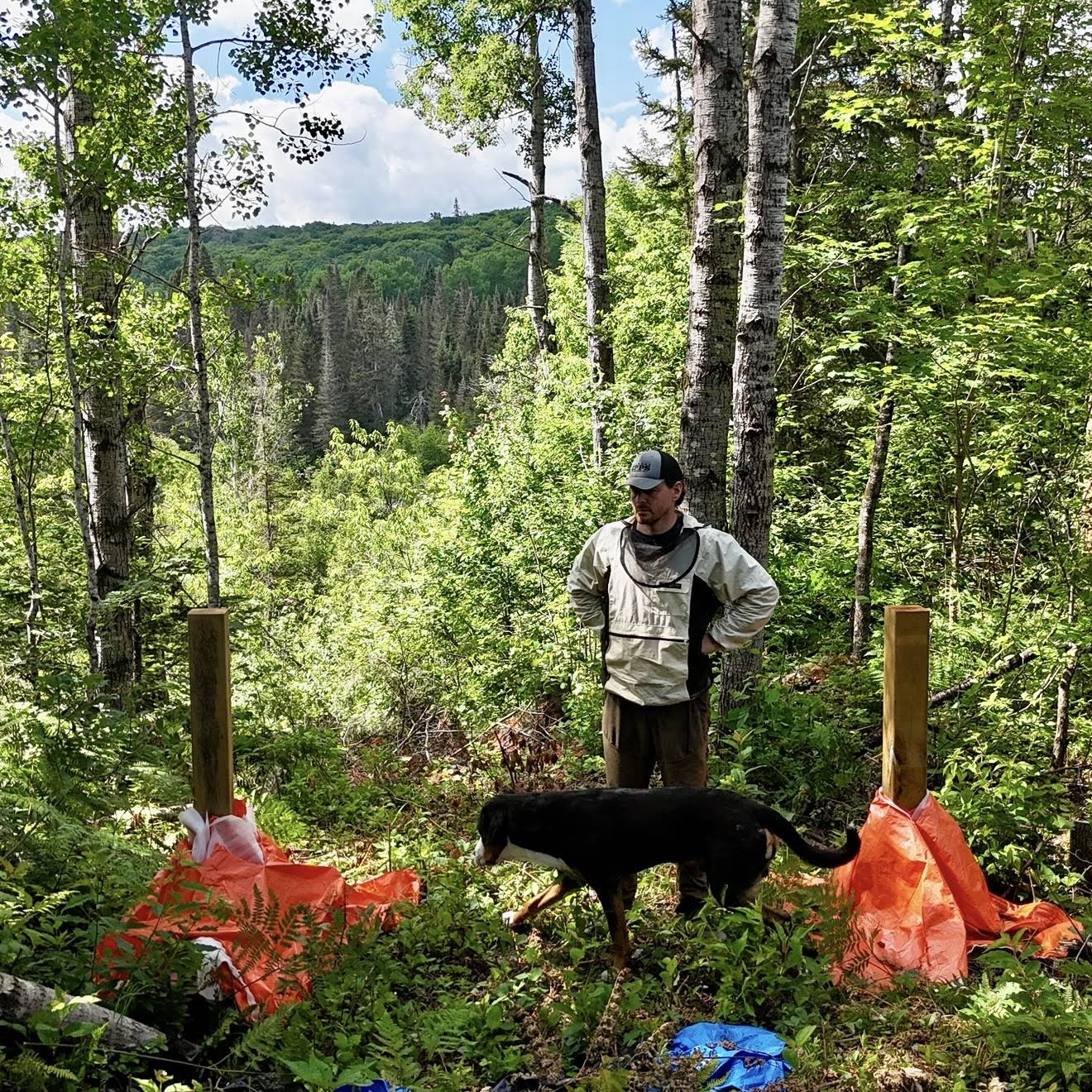 Post from WILD HOMESTEAD